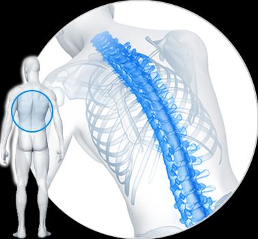 Veranstaltungen - badrappenau.de