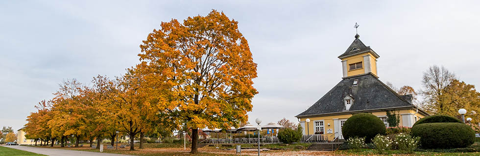 Stadt Bad Rappenau - Große Kreisstadt - badrappenau.de