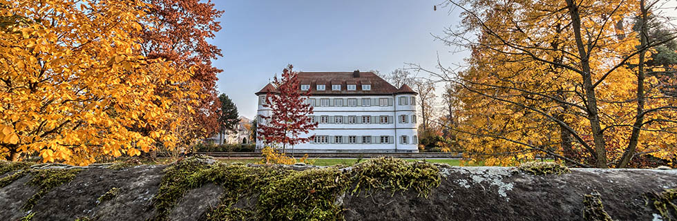 Stadt Bad Rappenau - Große Kreisstadt - badrappenau.de