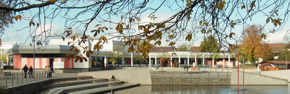 Stadt Bad Rappenau - Große Kreisstadt - badrappenau.de